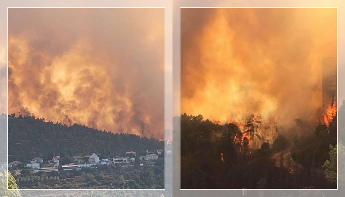 UPDATE Kebakaran Hebat Landa Israel, Mulai Hanguskan Yerusalem, Netizen ...