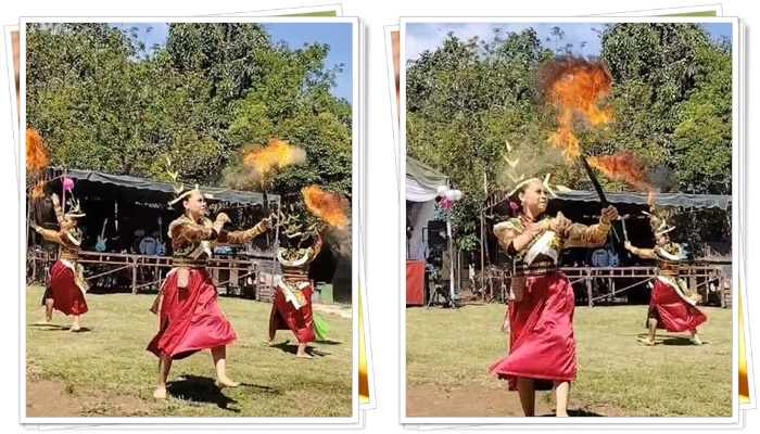 Tari Mandau Suluh Memukau! Sanggar Maranting Art Hidupkan Semangat ...
