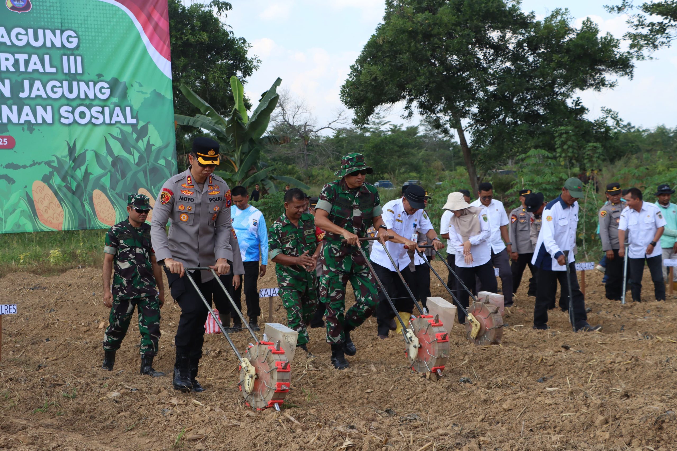 Disaksikan Kapolri, Polres Tabalong Tanam Jagung Serentak Dukung ...