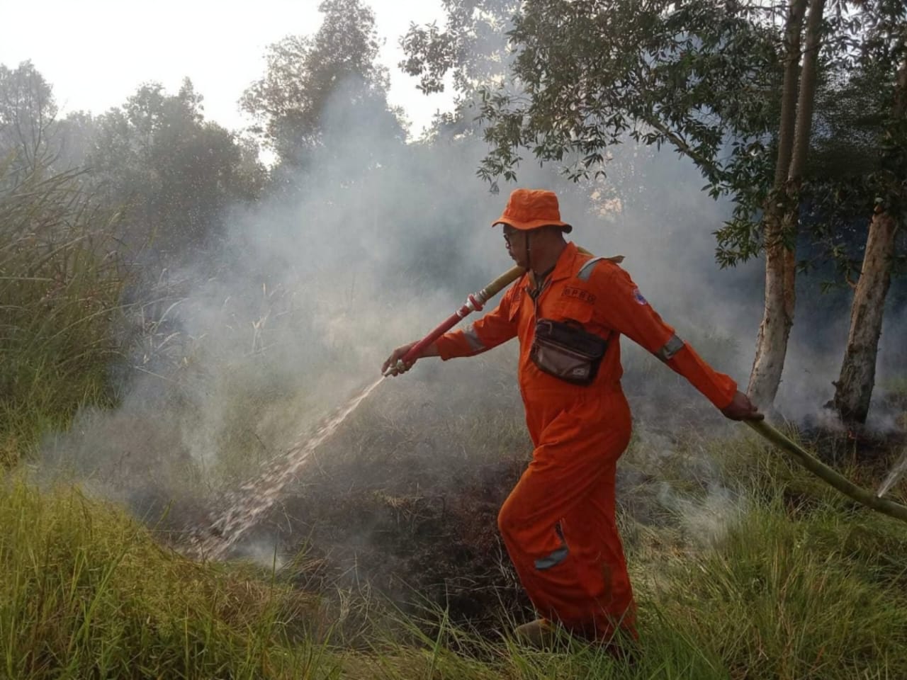 WASPADA! 1.400 Titik Api Kepung Kalsel, Dishut Siaga Total Hadapi ...