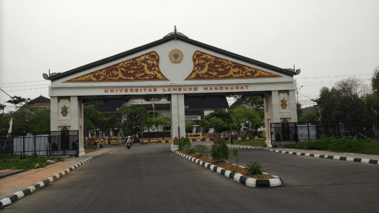 HEBOH! Isu 16 Gelar Guru Besar di ULM Dicabut, Rektor Angkat Bicara ...