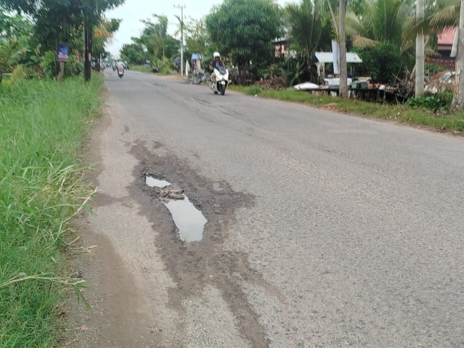 Jalan Irigasi Gambut Rusak Parah, Warga Desak Pemerintah Segera ...
